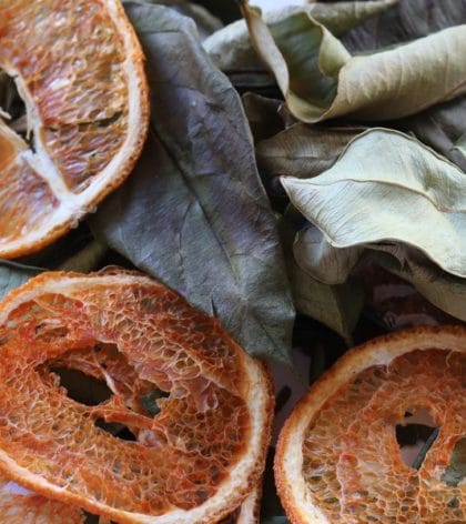 Lady Rhum : Boutique en ligne, sachets de préparation de rhum arrangé